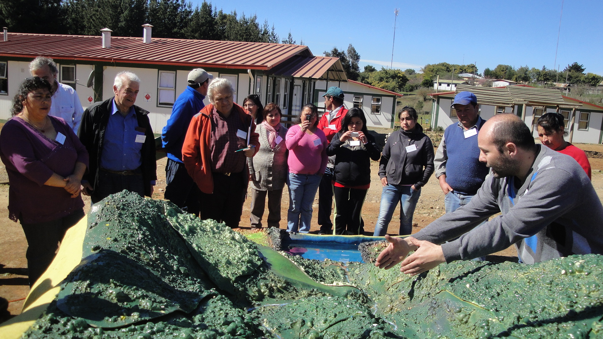 Mininco restaurará bosque nativo con apoyo de la UACh