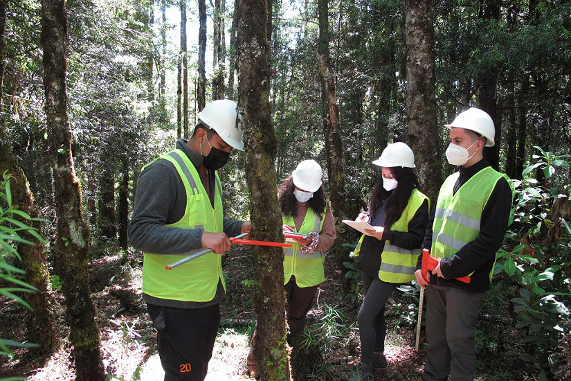 Práctica de Ingeniería Forestal conecta a estudiantes con el bosque