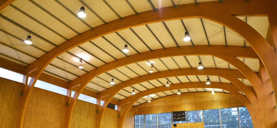 La Madera: material renovable para construir y combatir el efecto ...