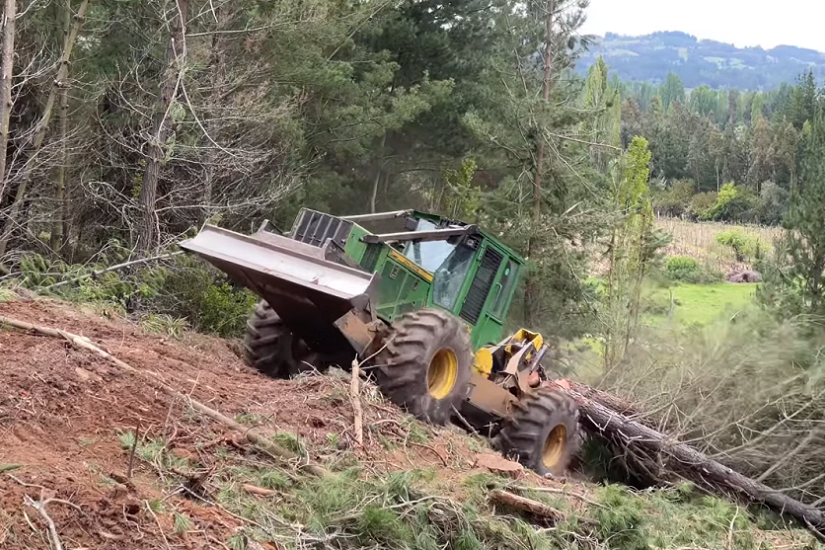 Proyecto Fondef IDeA desarrollará un software para automatizar el ...